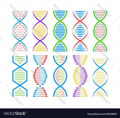 Dna Structure Icon Set Molecule Royalty Free Vector Image