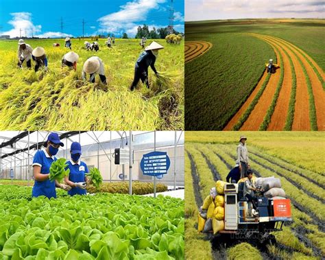 O desenvolvimento da agricultura circular no Vietnã Vietnã Hoje
