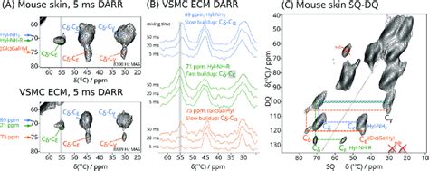 A Regions Of 2d 13 C 13 C Darr Dnp Nmr Spectra 5 Ms Mixing Time 110