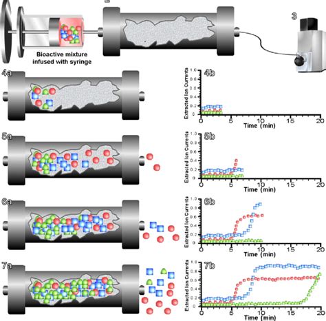 Affinity Chromatography Images At Mike Friddle Blog
