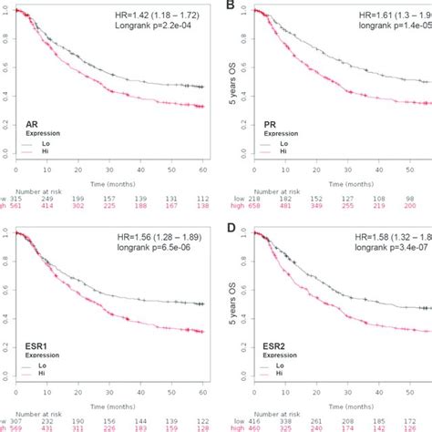 Km Plotter Evaluation Of Sex Hormone Nuclear Receptors Including Ar