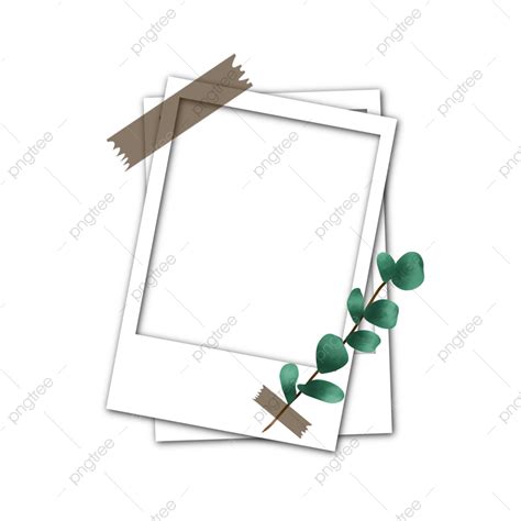 Polaroid Frames Png Picture Download Polaroid Frame With Leaf