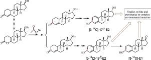 天然类固醇雌激素 α 雌二醇 β 雌二醇和雌酮的 C标记 Journal of Hazardous Materials X MOL