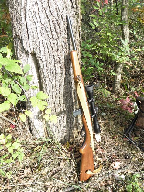 Small Game And The Caliber Rimfire ThinkingAfield Org