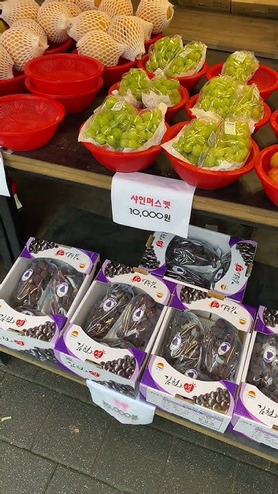 20230921 사과 토마토 딸기 복숭아 수박 오렌지 방울토마토 포도 밀감 참외 가격 광안시장 구경하기 Youtube