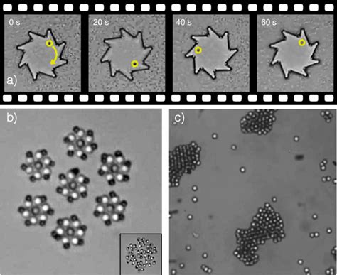 Figure 1 From Collective Forces In Scalar Active Matter Semantic Scholar