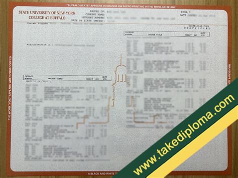 How To Get A Buffalo State University Transcript