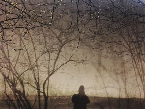 Premium Photo Rear View Of Silhouette Woman Standing On Bare Tree