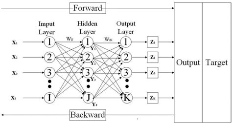 The Structure Of Back Propagation Neural Network Download Scientific