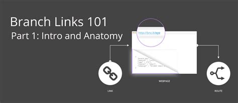 Branch Links 101 Part 1 Intro And Anatomy Branch