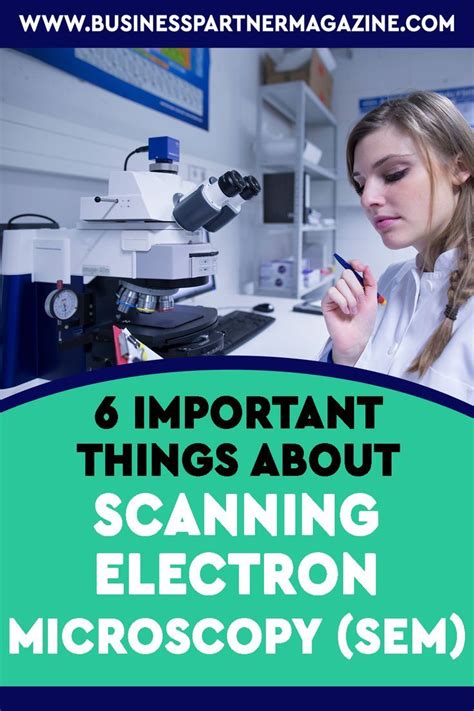 6 Important Things About Scanning Electron Microscopy Sem Artofit