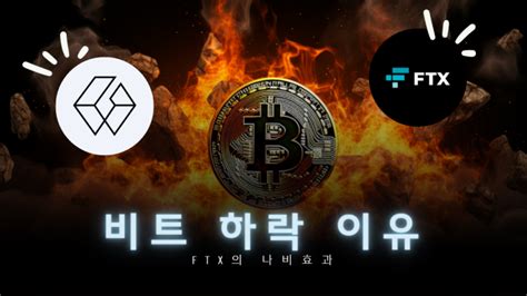 비트코인 하락 원인