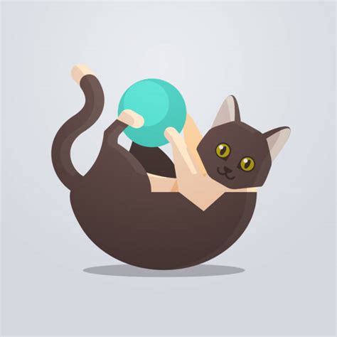 Cat Playing Ball Illustrations Royalty Free Vector Graphics And Clip Art