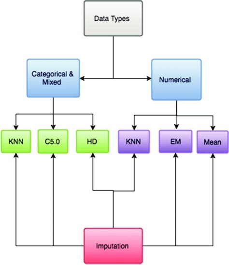 Imputation Data Types Download Scientific Diagram