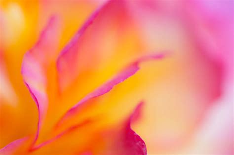 🔥 100 Ubuntu Default Wallpapers Wallpapersafari