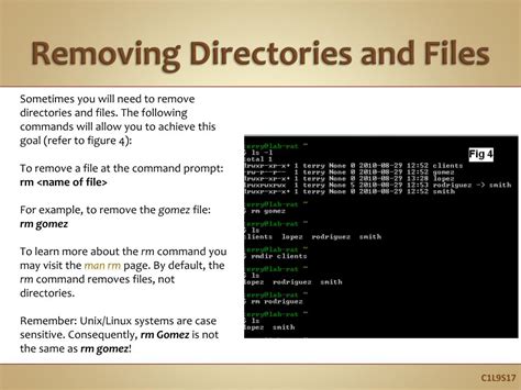 Ppt Linux Fundamentals Filesystem Hierarchy Powerpoint Presentation Id2768695