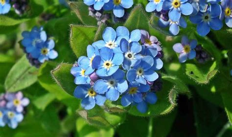 Skylar Mae 💋 Skylarmaexo Skylar Mae How She Built A Massive