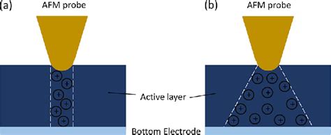 Schematic Depicting Current Flow During C Afm Measurements A Assuming Download Scientific