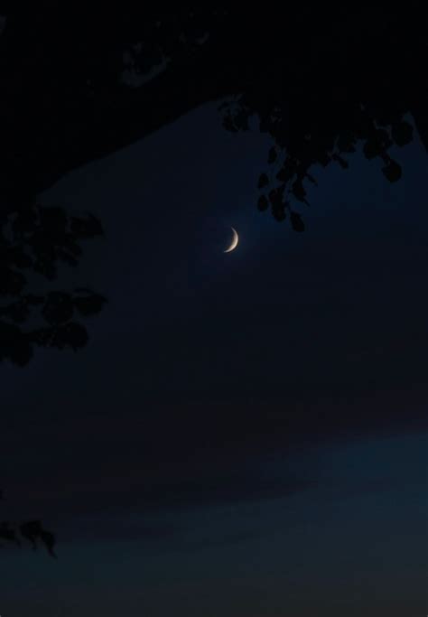 코오 푸른 빛이 향하는 곳pdf Sheets