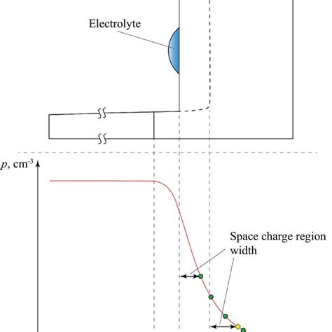 Schematic Diagram Of Silicon Back Side Illuminated Ccd Structure A Download Scientific Diagram