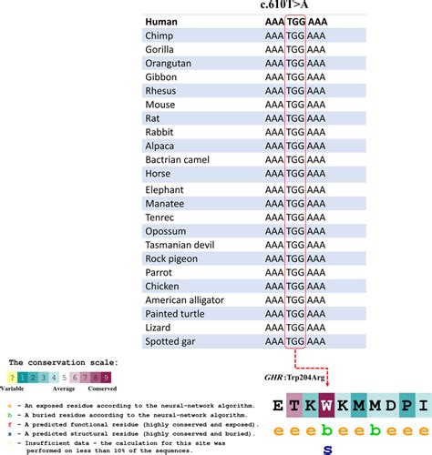 Ucsc Database Was Used To Show The Multiple Sequence Alignment Download Scientific Diagram