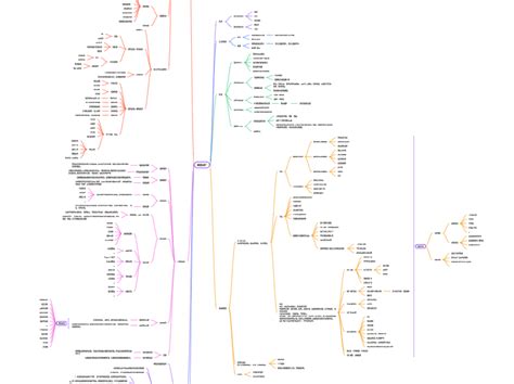 数据分析指南 在线模板下载
