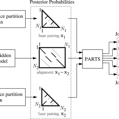 Parts Algorithm Input Output Flowchart The Precomputed Base Pairing