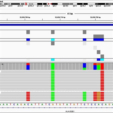 Example Of Partially Called Complex Variant Counted As Both False Download Scientific Diagram