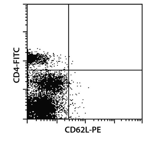 Cd4 T Cells Human Miltenyi Biotec 香港