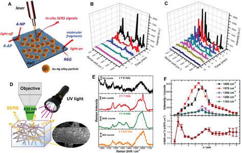 A Schematic Illustration Of In Situ Sers Monitoring Photocatalytic Download Scientific Diagram