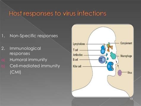 Virus Host Interactions