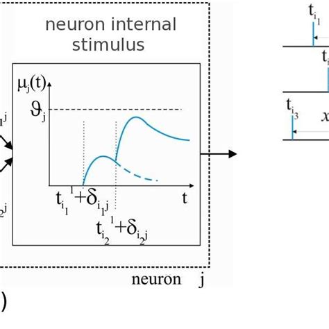 Neuron Model A Potential µj T Of Neuron J Receiving Contributions