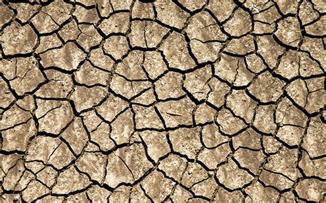 Nevada Bans Non Functional Grass Within Las Vegas City Limits 1019 Kink