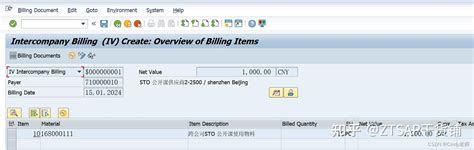 Sap系统公司间采购 公司间库存调拨，集团跨公司关联交易 知乎