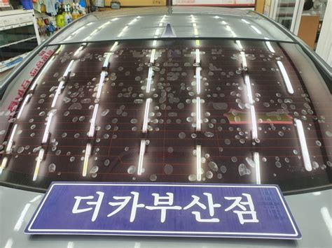 부산썬팅 잘하는곳 후면썬팅 가격 금정구 자동차 뒷유리 썬팅 기포제거 열선손상없이 썬팅 교체비용 아반테md 윈도 틴팅 버블현상 후면썬팅공기 뽀글이 후면열선제거 썬팅기포 해결