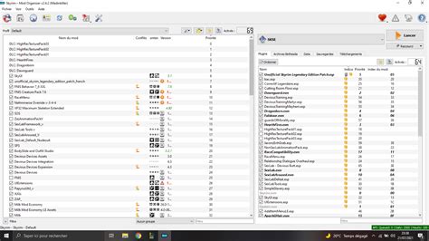 Help Mo2 Et Problème De Conflits Request And Find Skyrim Adult