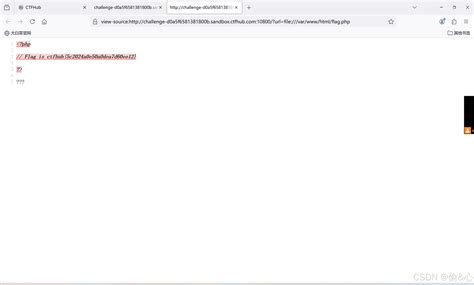 Ctfhub技能树 Web Ssrf篇 Csdn博客