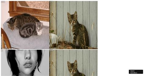 Applying Lazyload And Lazyloadimage Example Forked Codesandbox