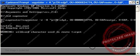 Snc Saprouter Step By Step Technical Guide 2025