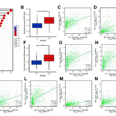 Association Between Tumor Infiltrating Lymphocytes And Mfap2 In Glioma Download Scientific
