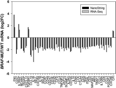 Orthogonal Validation Of Differentially Expressed Immune Function