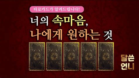 달쓴타로속마음 너의 속마음 나에게 원하는 것 L 연애운 L 재회운 L Youtube