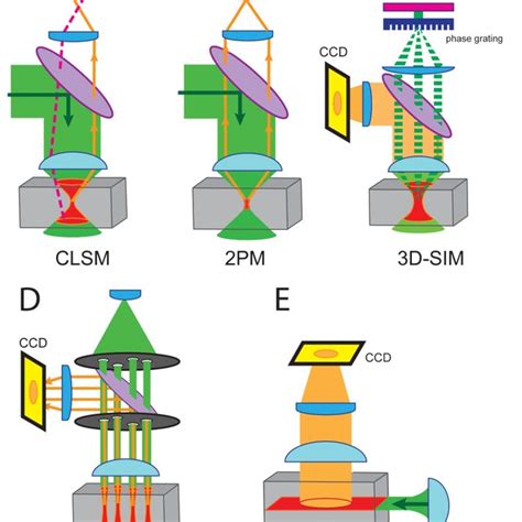 3d Super Resolution Microscopy Approaches Download Scientific Diagram
