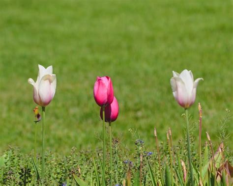 20 Problem Solving Frameworks Good Existence