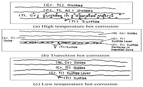 Blade Fuse Corrosion At Wallace Swindler Blog