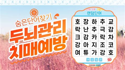 두뇌 건강 퀴즈 숨은단어찾기 치매예방 퀴즈 초성퀴즈 단어퀴즈 두뇌운동 뇌건강 치매테스트 기억력 집중력 강화 재미있는 퀴즈 재밌는 퀴즈 Youtube