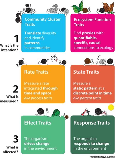 To Harness Traits For Ecology Lets Abandon ‘functionality Trends In Ecology And Evolution