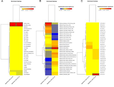 Enrichment Analysis Of Differentially Methylated Cpg Sites Along