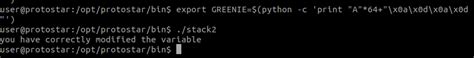 Protostar Exploit Practice