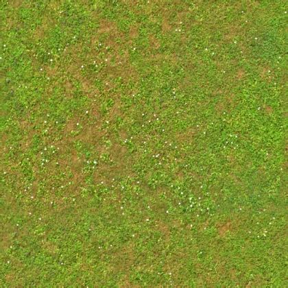 Grasstexture